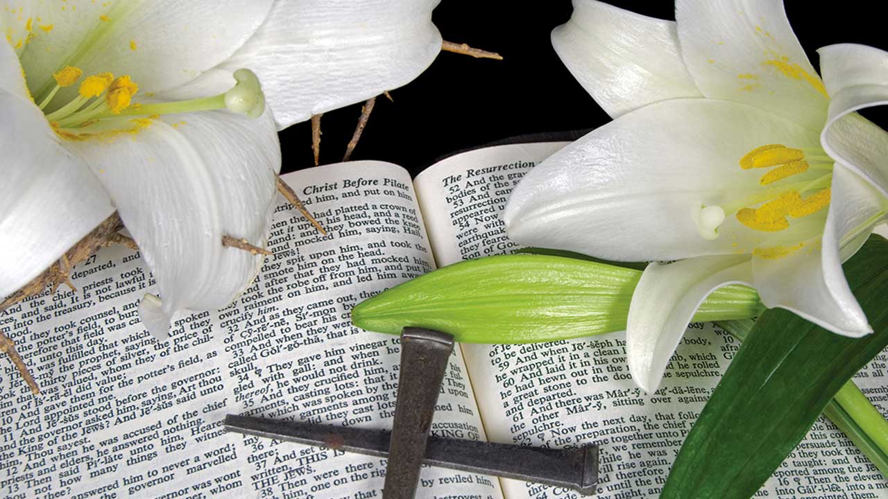 Lenten Reflection for Ash Wednesday - Franciscan Friars of the Atonement